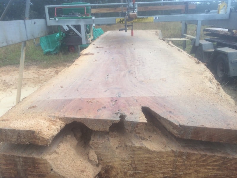 Slabbing Amazing Timber – Timber Furniture Sydney